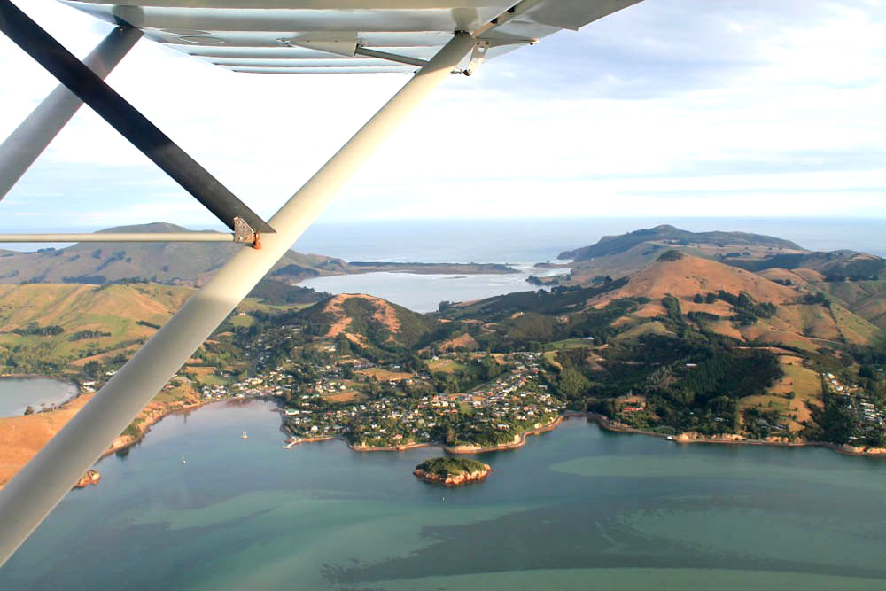 Dunedin from Above: An Unforgettable Flight in New Zealand - Mismatched ...
