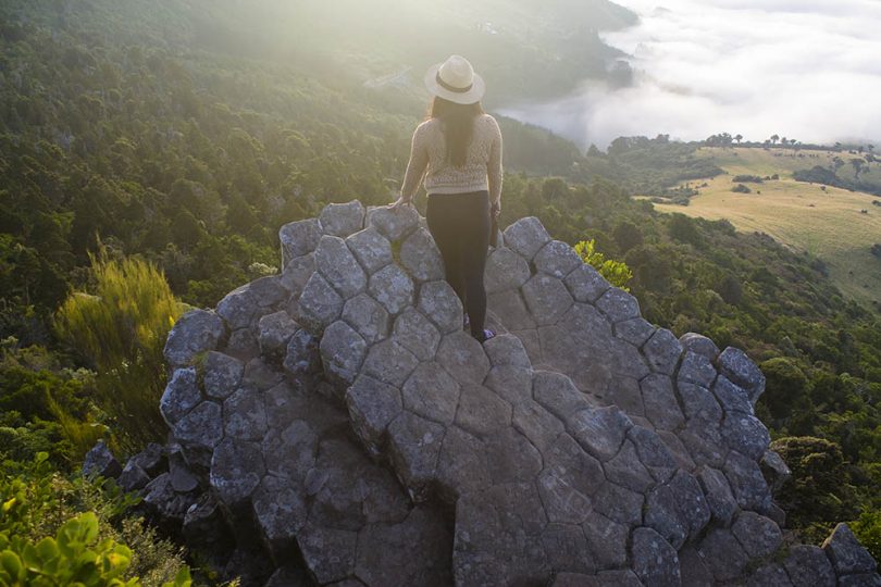Incredible Things to Do in Dunedin, New Zealand - Mismatched Passports