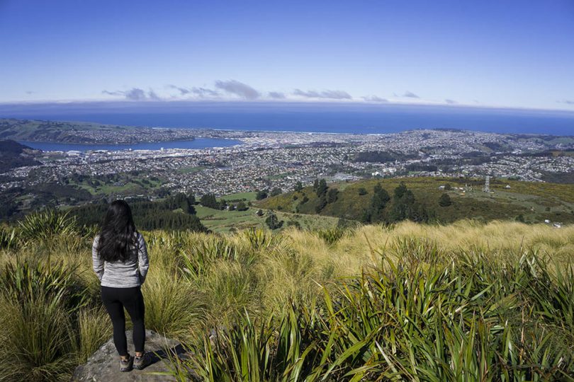 Incredible Things to Do in Dunedin, New Zealand - Mismatched Passports